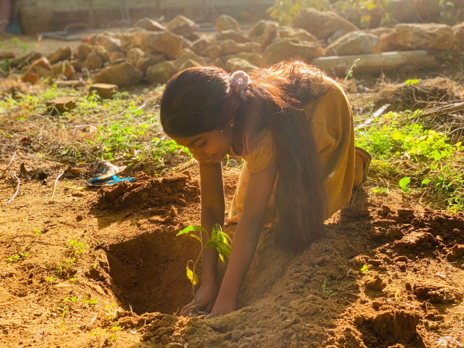 Tree planting Initiative | Foundation of Goodness