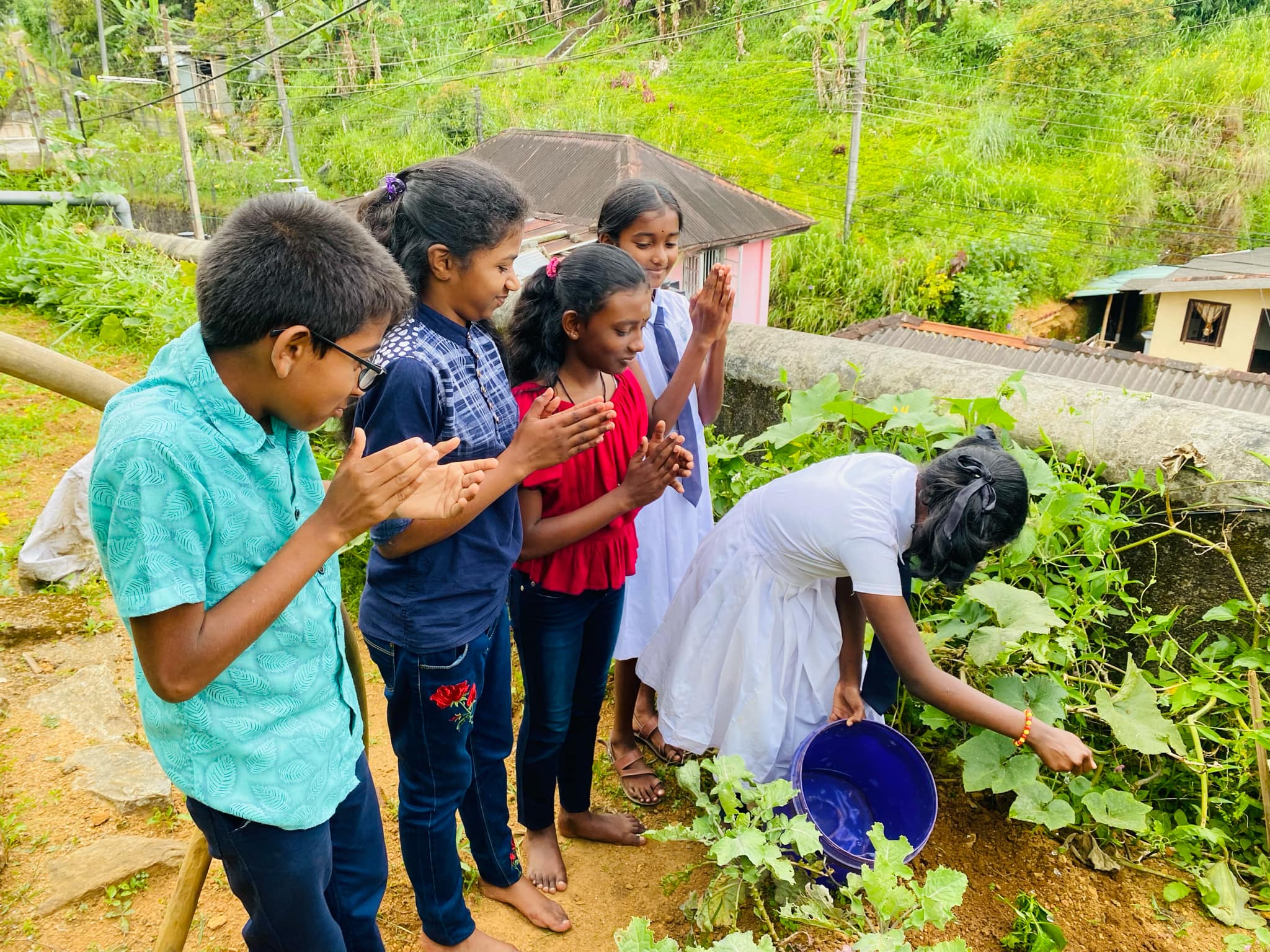 Tree planting Initiative | Foundation of Goodness